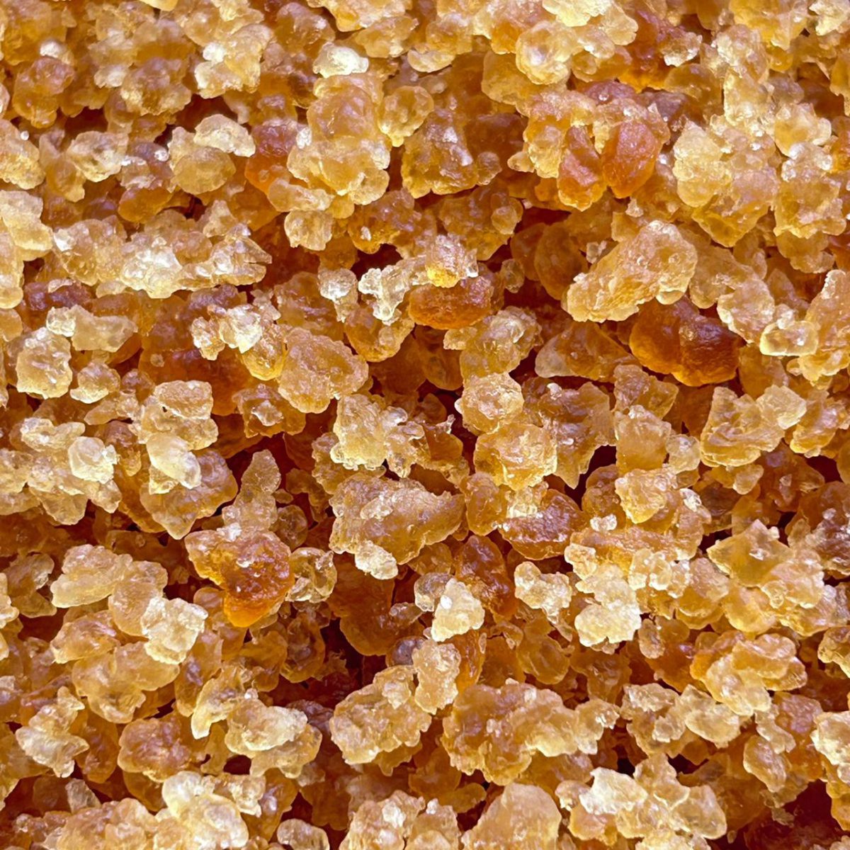 Dehydrated Water Kefir grains – Around 50 grams on Re-hydration | 1 ...