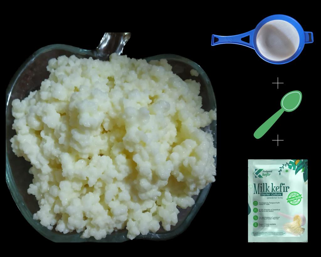 LIVE Milk Kefir grains (20 grams) | Complementary Large Strainer, Spoon ...